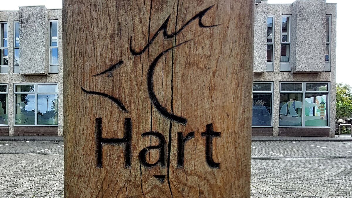 Lib Dem led Hart leads the way in reducing carbon emissions with Heat ...